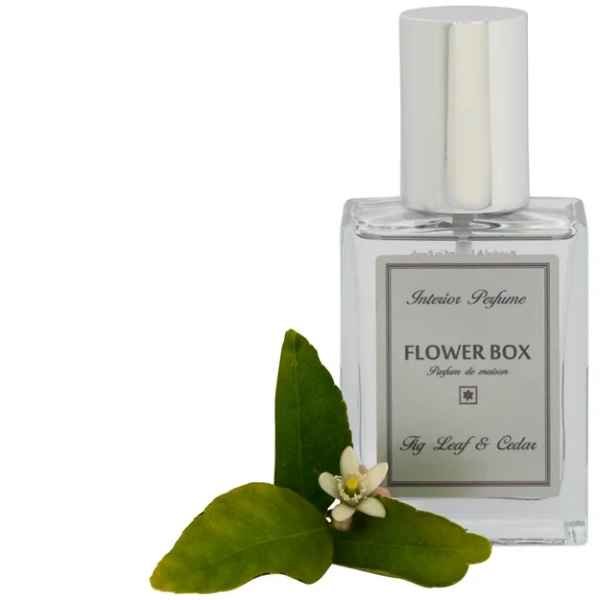 Interior Perfume - Fig Leaf & Cedar – Emporium on James